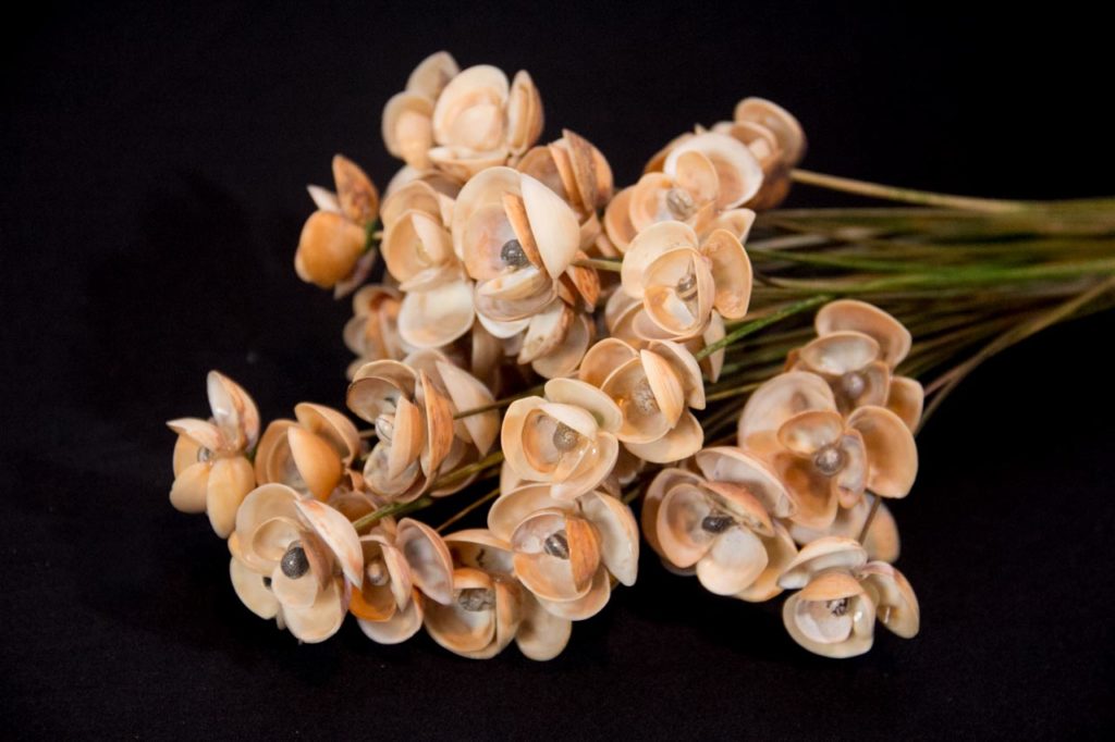 Flor de Concha | Amarela Aberta (Dúzia) – Artesanato Cristina