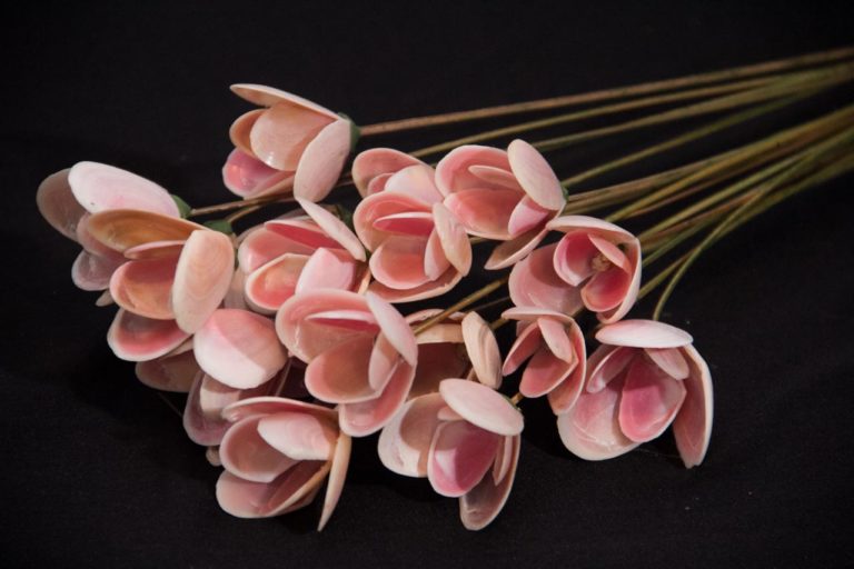 Flor de Concha | Tulipa Rosa (Dúzia) – Artesanato Cristina