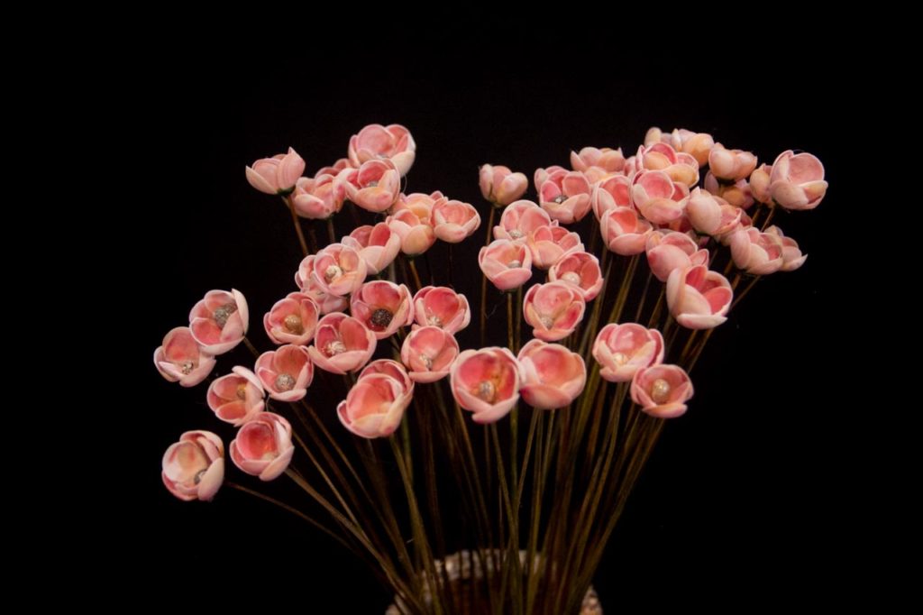 Flor de Concha | Rosinha (Dúzia) – Artesanato Cristina